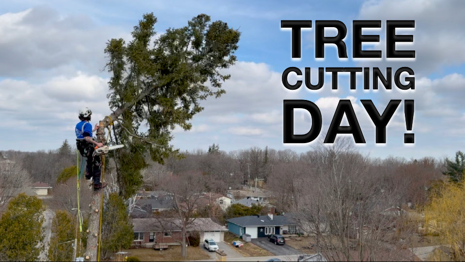 How to Cut Down a Tree Without Damaging the House – Wooden It Be Nice Inc.